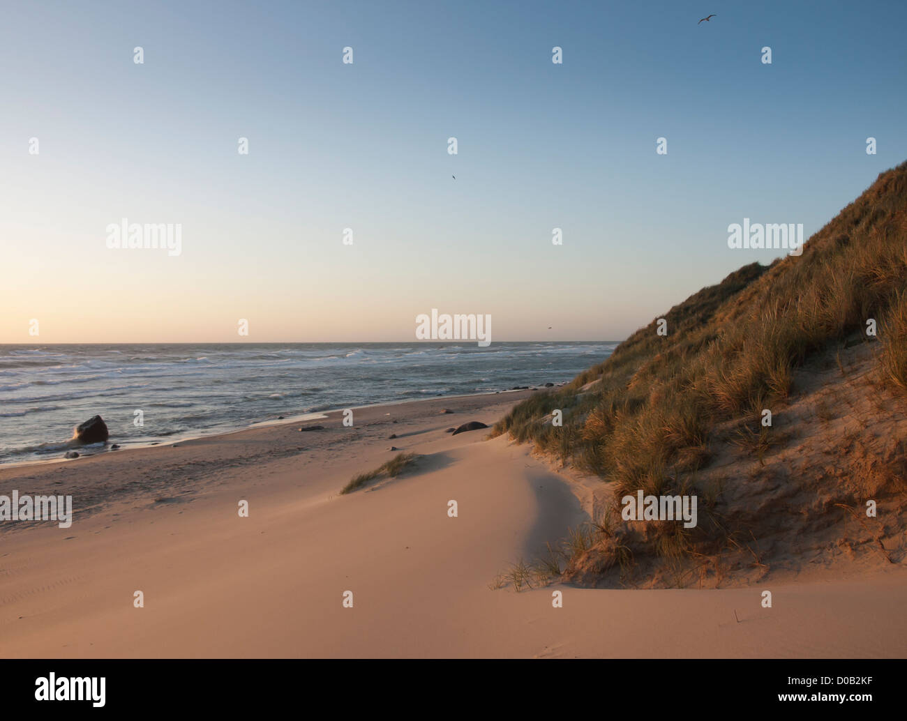 Summer evening on the beaches outside Hirtshals Denmark, View over the ...