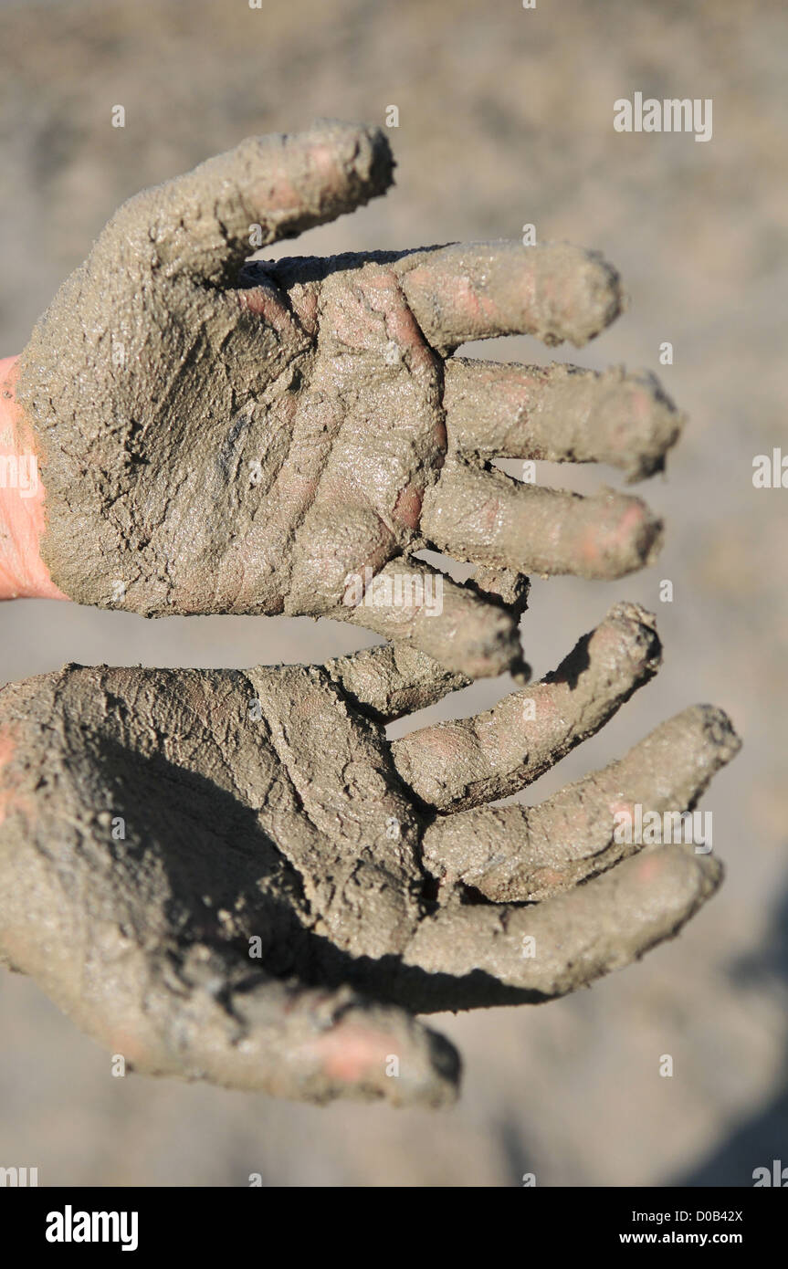 HANDS FULL OF SILT SEASIDE AT LOW TIDE SOMME (80) FRANCE Stock Photo ...