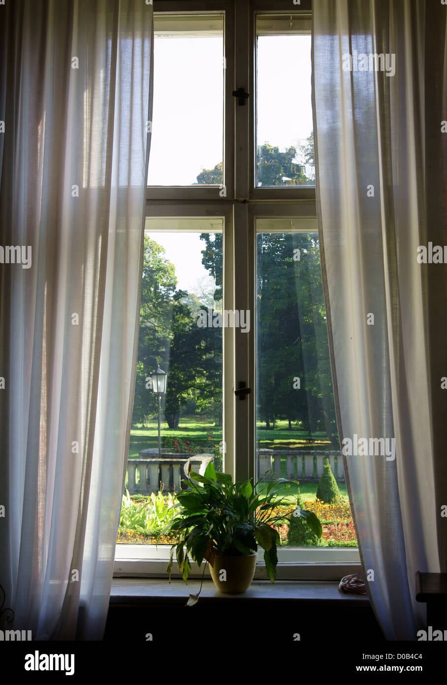 window with white curtain in palace, Poland, Wielkopolska Stock Photo ...