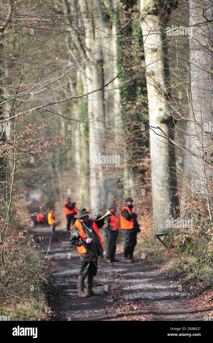 Hunting in road hi-res stock photography and images - Alamy