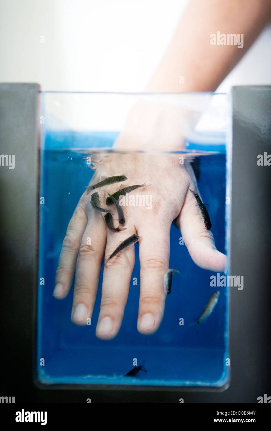 Doctor fish hand hi-res stock photography and images - Alamy