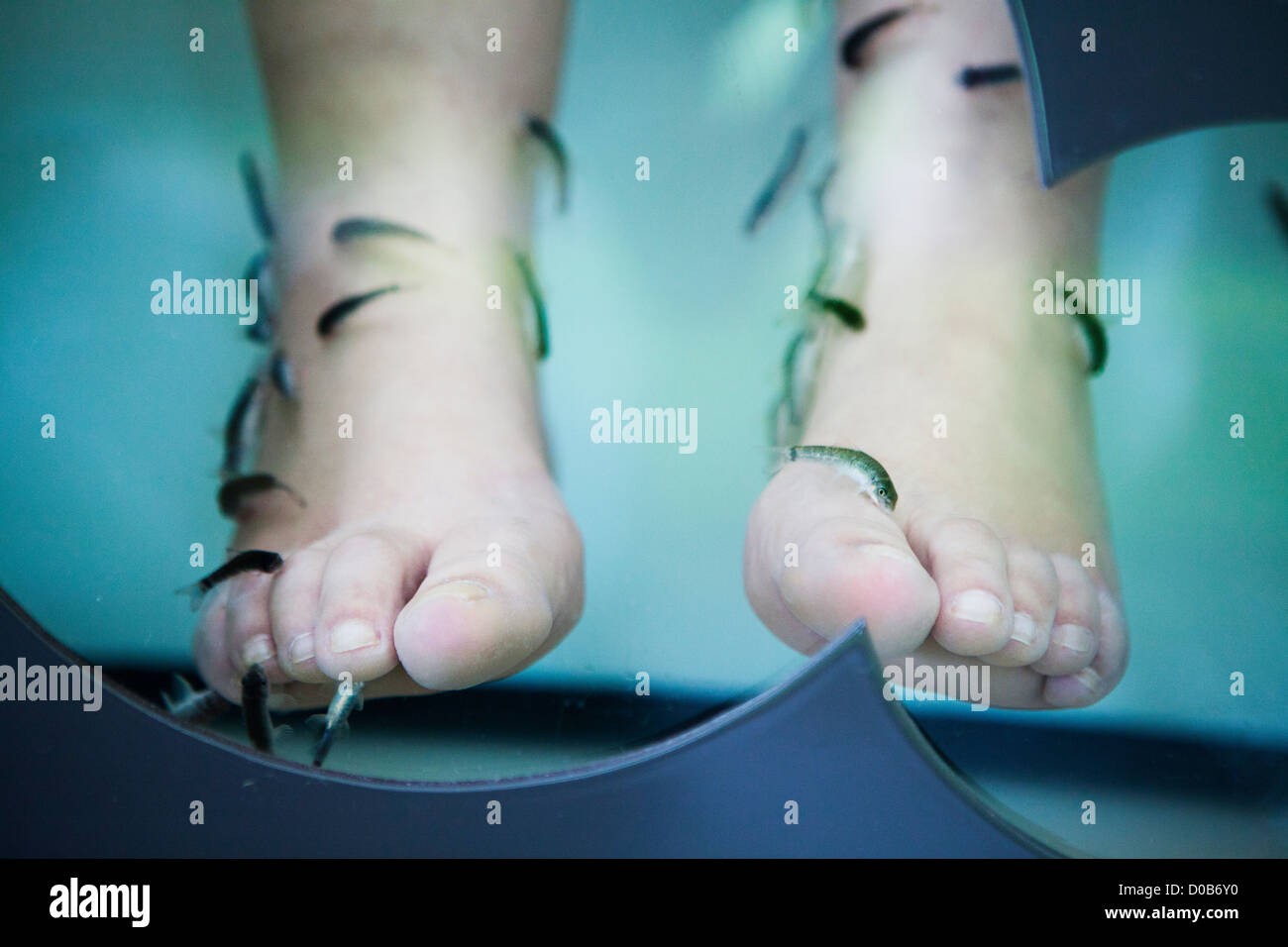 Physio fish hi-res stock photography and images - Alamy