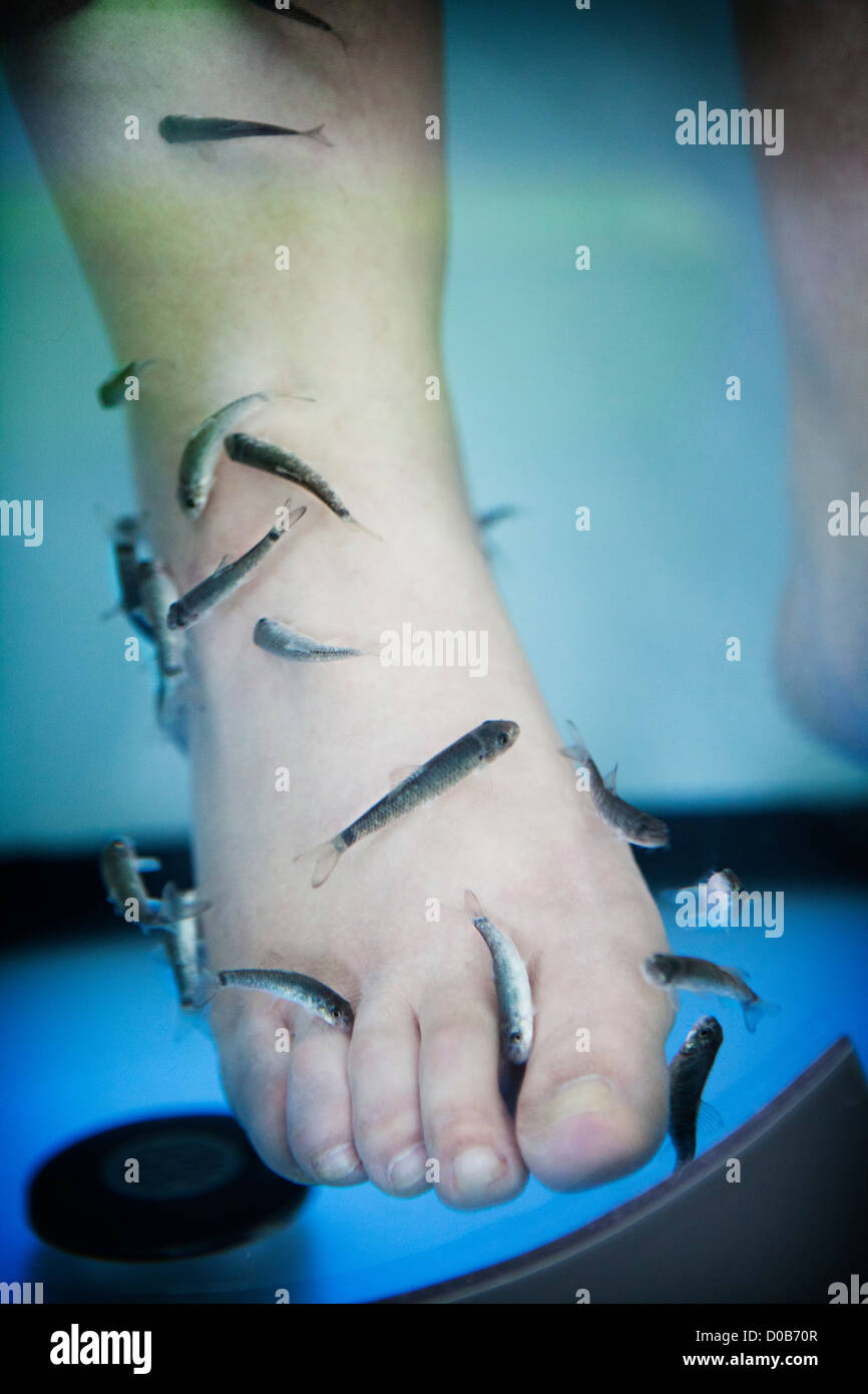 Physio fish hi-res stock photography and images - Alamy