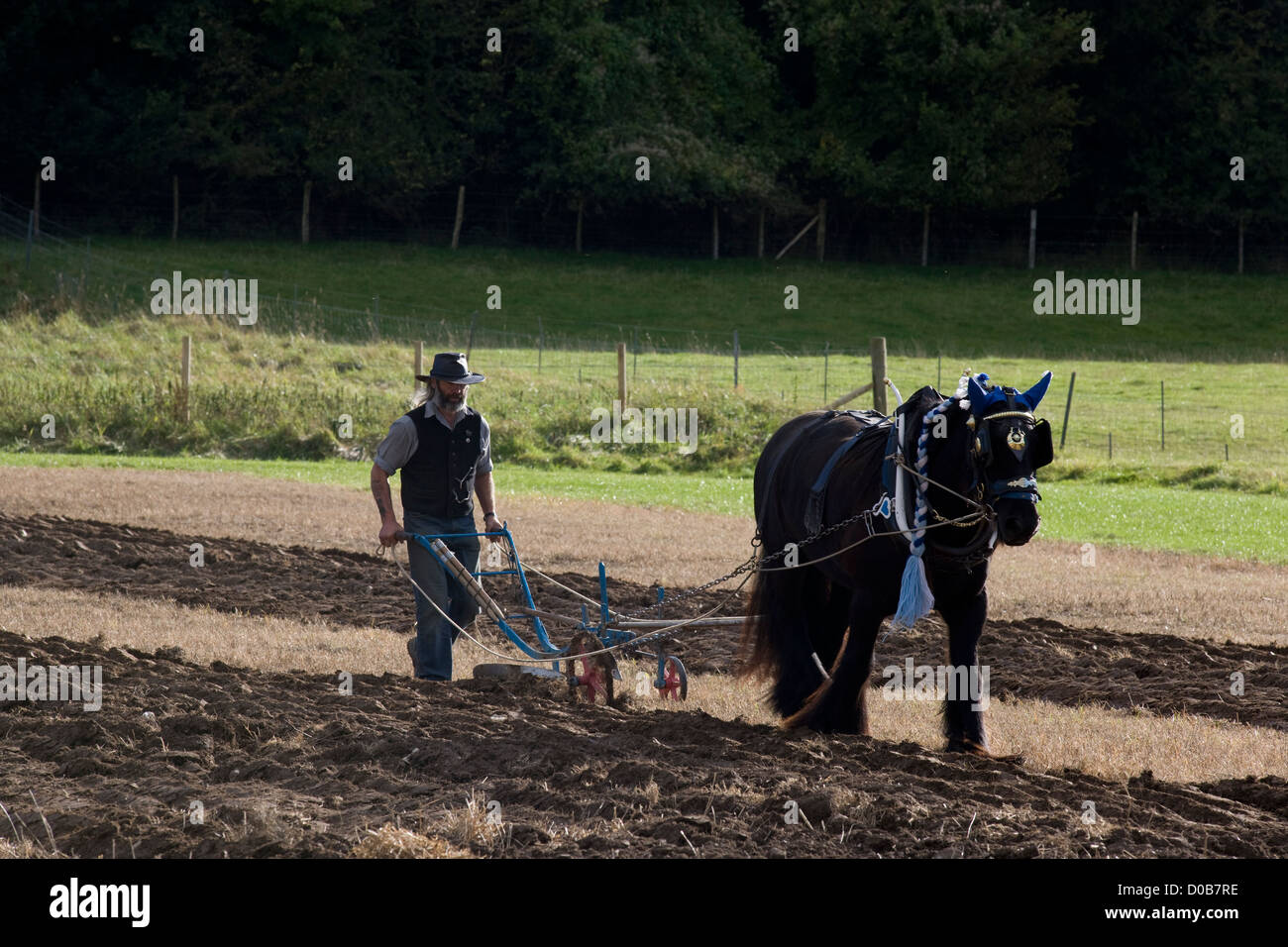 Heavy shire horse ploughing traditional hi-res stock photography and ...