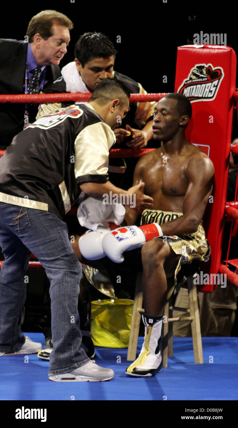 Boxing sensation hi-res stock photography and images - Alamy