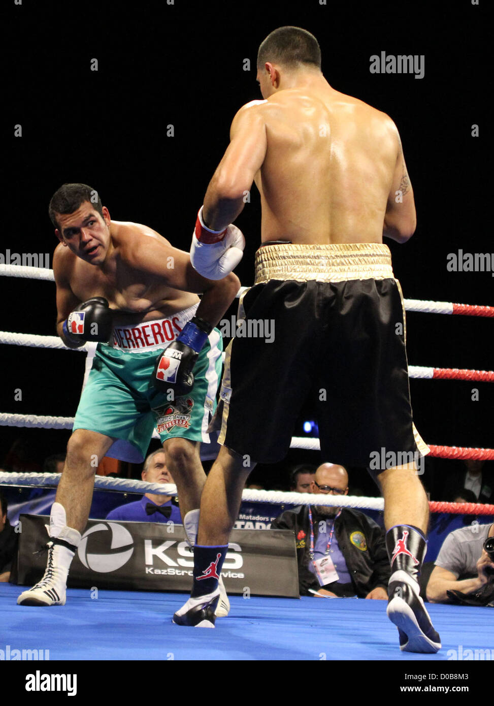 Matador 'Javier "The Monster" Torres vs Mexico city 'Alex Rivera World ...