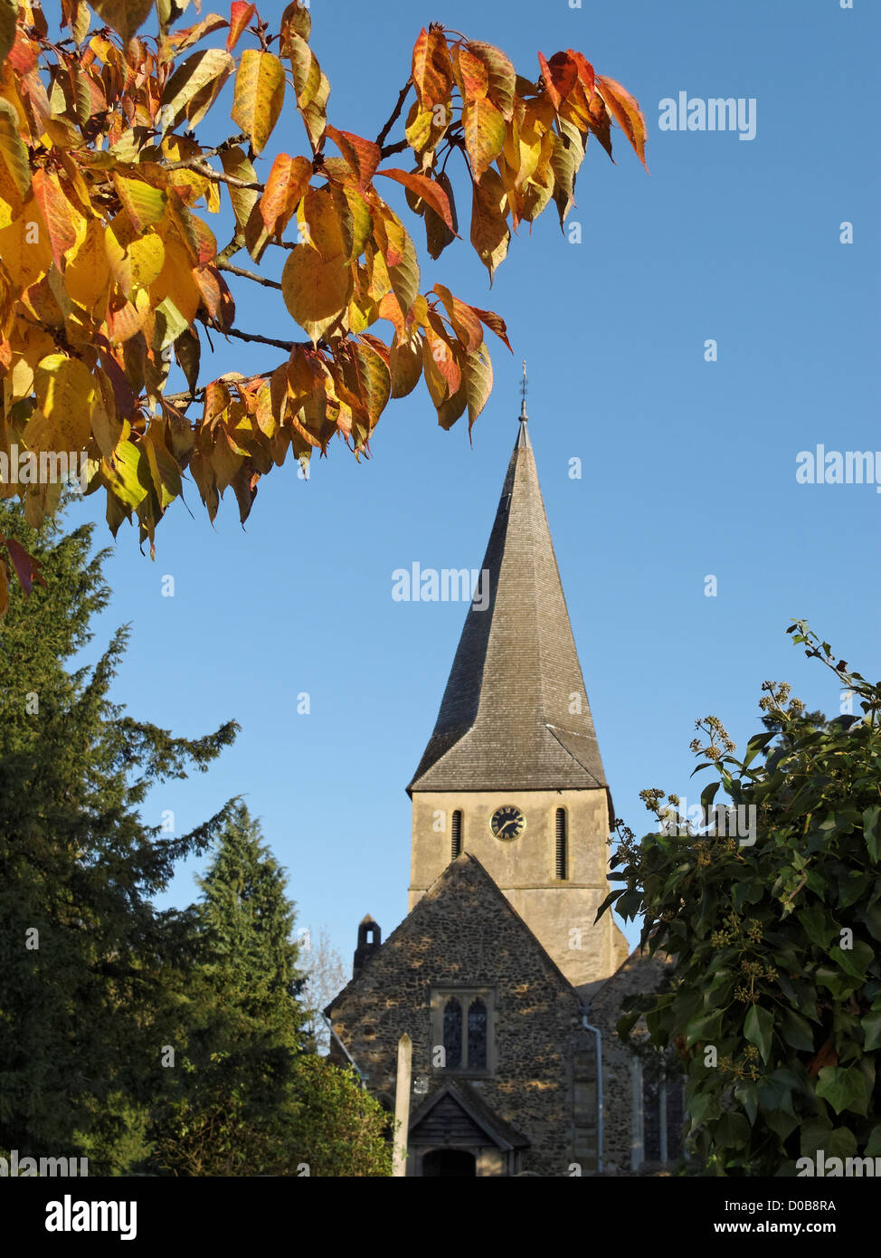 St James' church, Shere, Surrey, England Stock Photo - Alamy