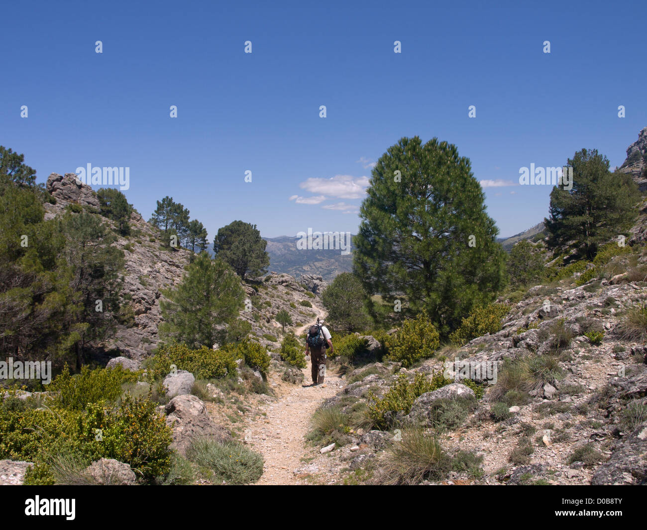Sierra de cazorla hike hi-res stock photography and images - Alamy