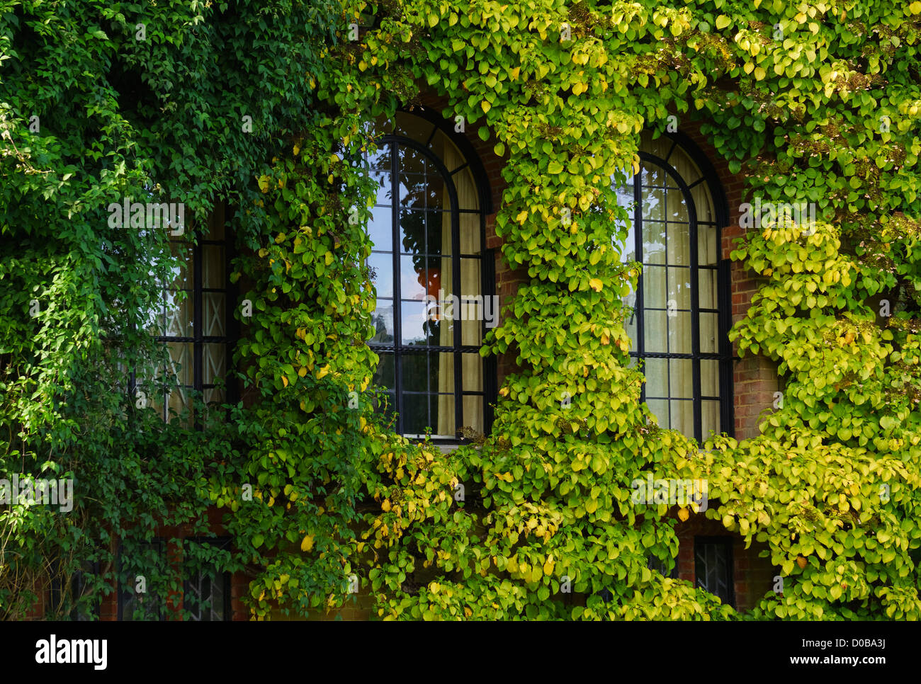 Three windows from the dinning room at Chartwell, Winston Churchill's ...