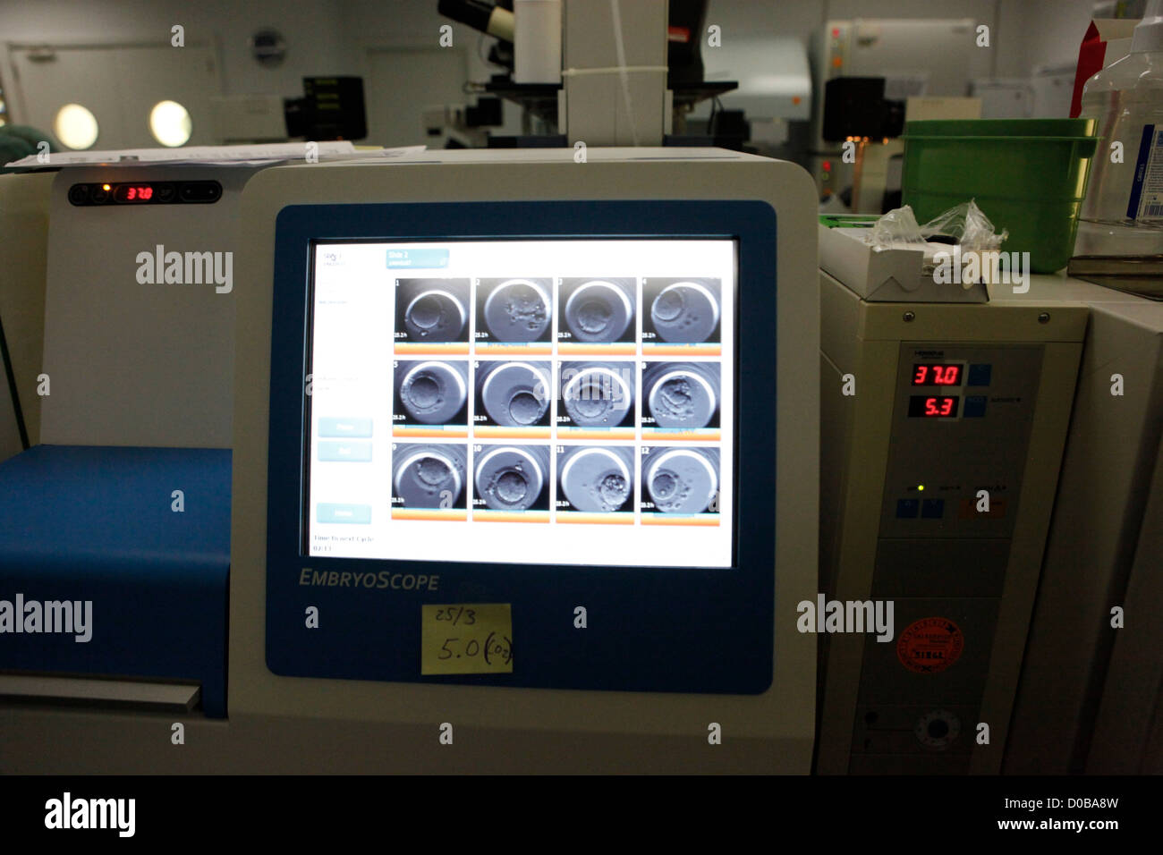 Ivf embryo hi-res stock photography and images - Alamy