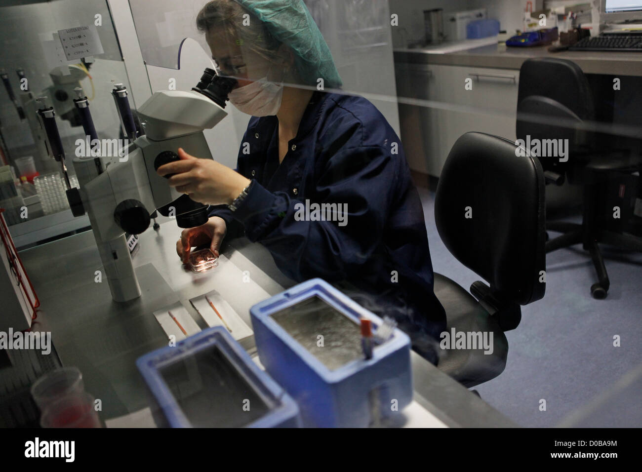 Oocyte cryopreservation hi-res stock photography and images - Alamy