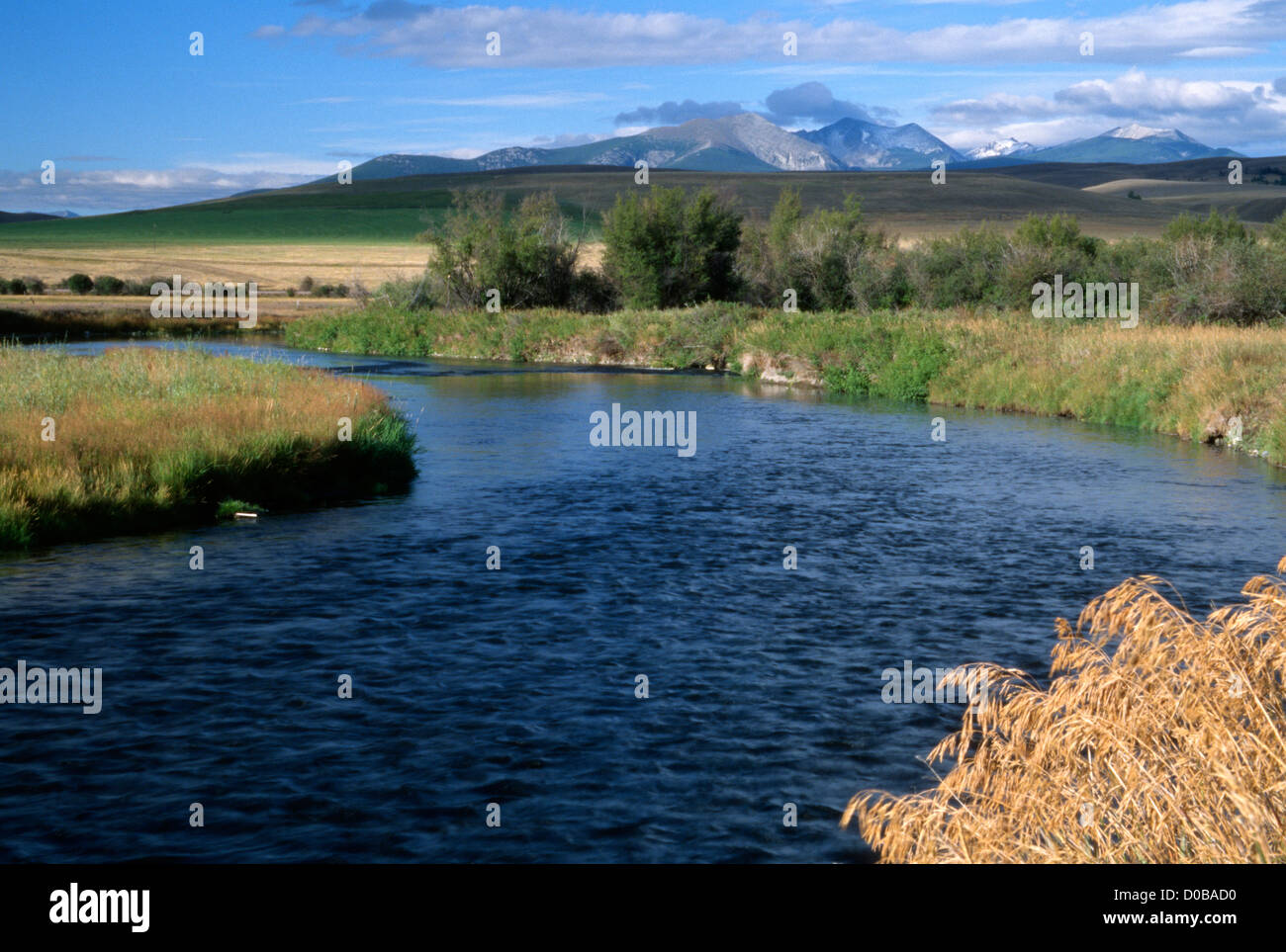 Gallatin River Montana Stock Photos & Gallatin River Montana Stock ...