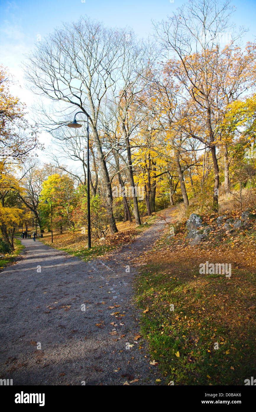 A walk path splits through Långholmen during the last few weeks of ...
