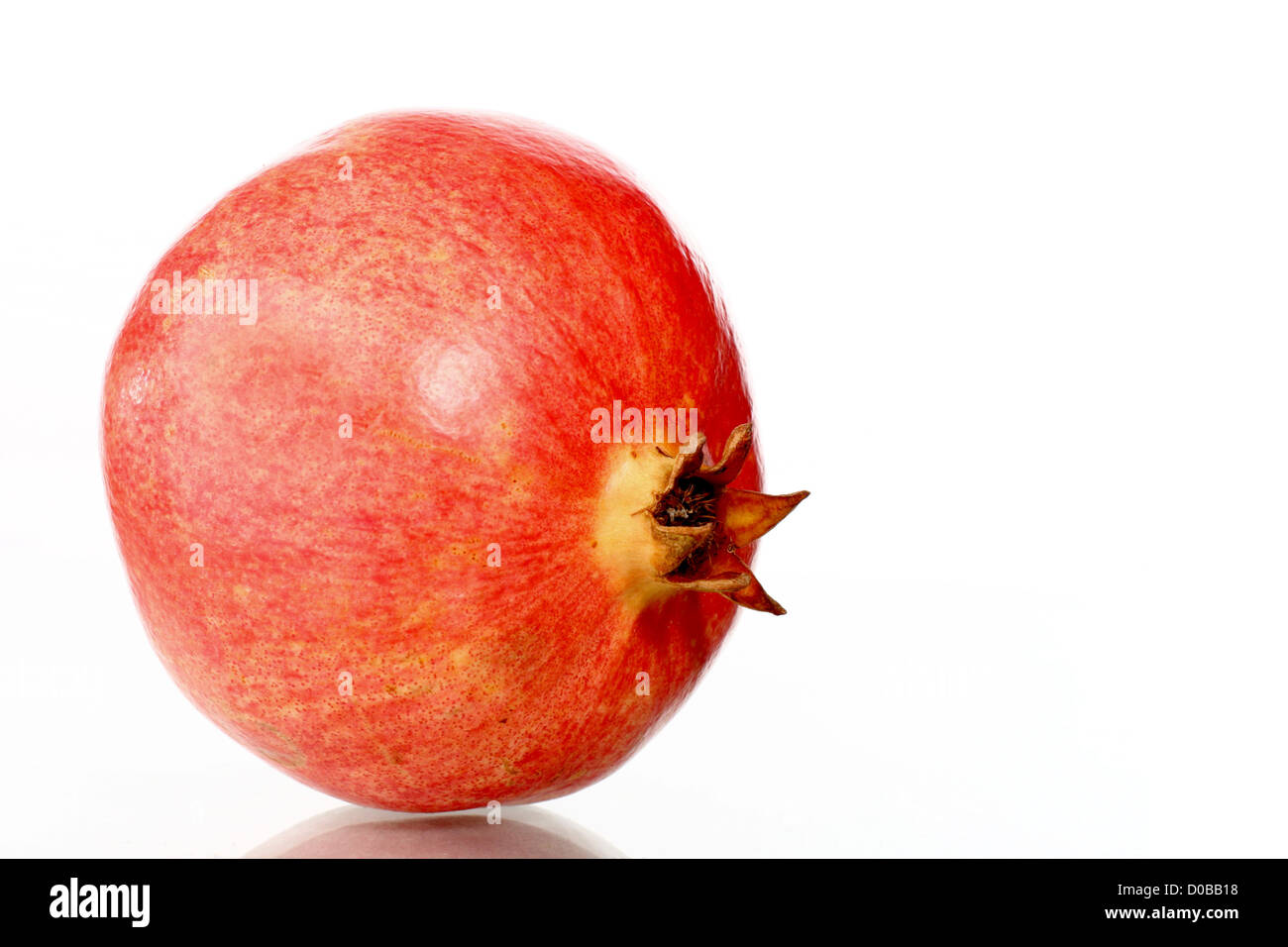 pomegranate macro close up on white background Stock Photo - Alamy