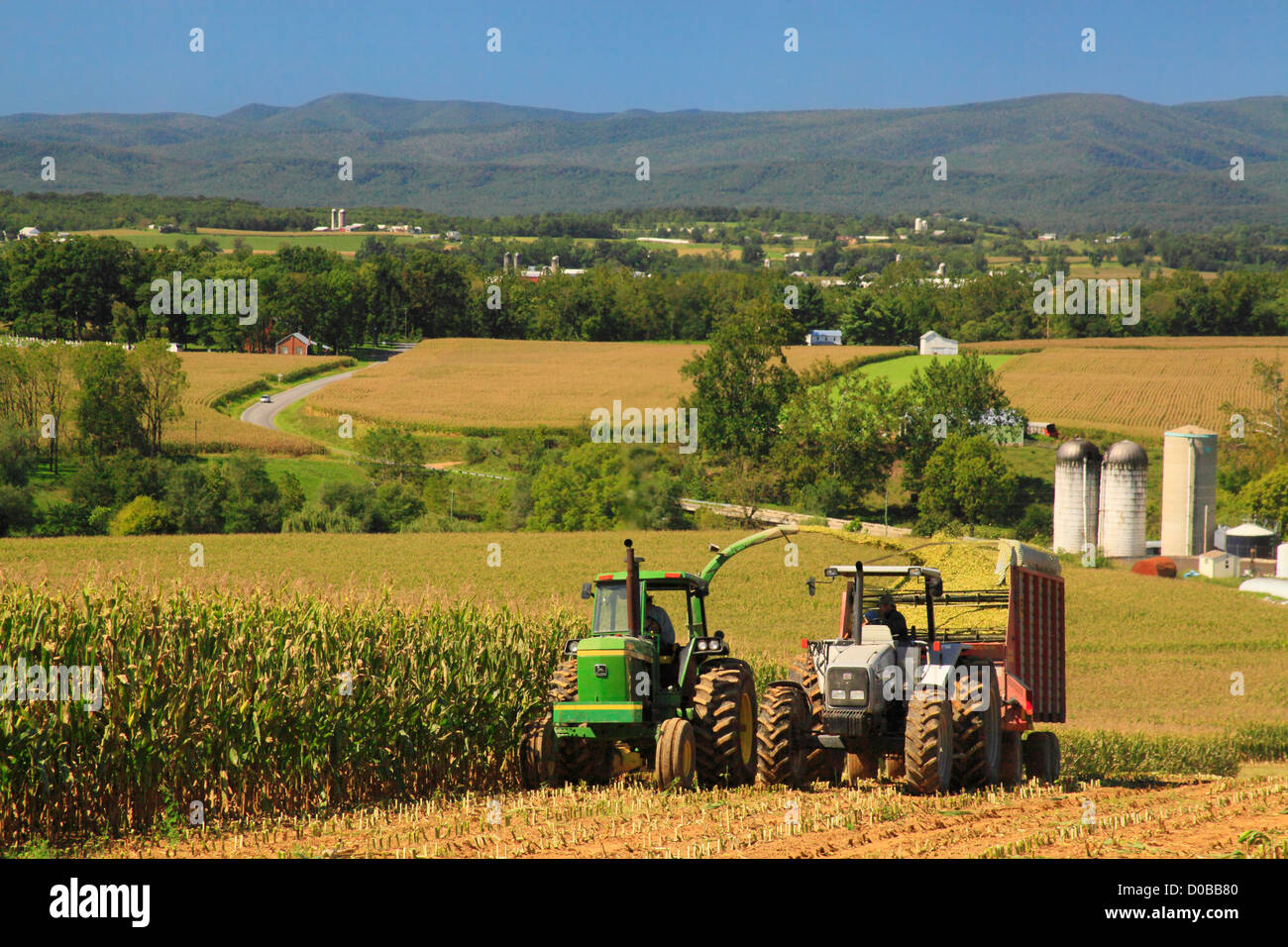 Corn field farm corn tractor hi-res stock photography and images - Alamy