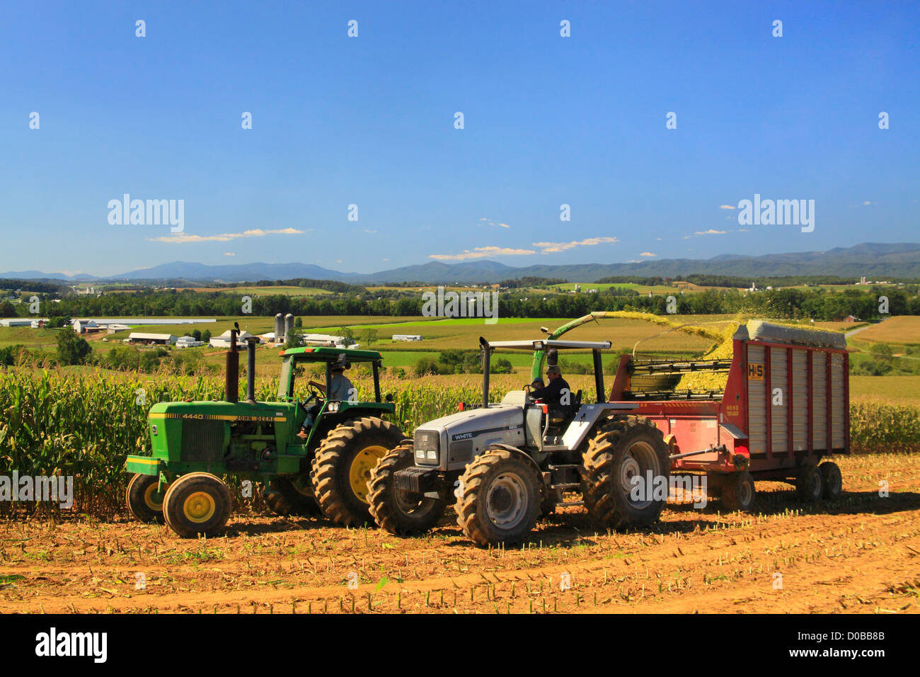 Cutting Corn, Dayton, Shenandoah Valley of Virginia, USA Stock Photo ...