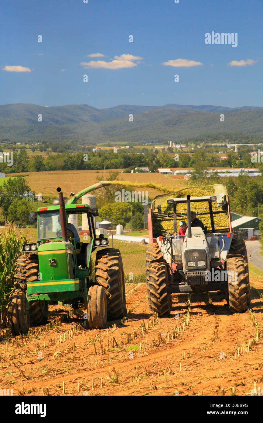 Corn field farm corn tractor hi-res stock photography and images - Alamy