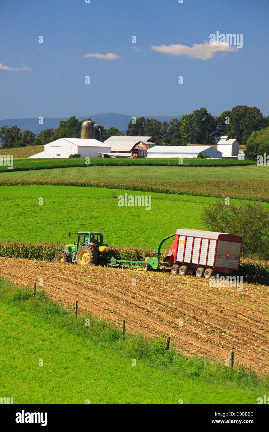 Corn field farm corn tractor hi-res stock photography and images - Alamy