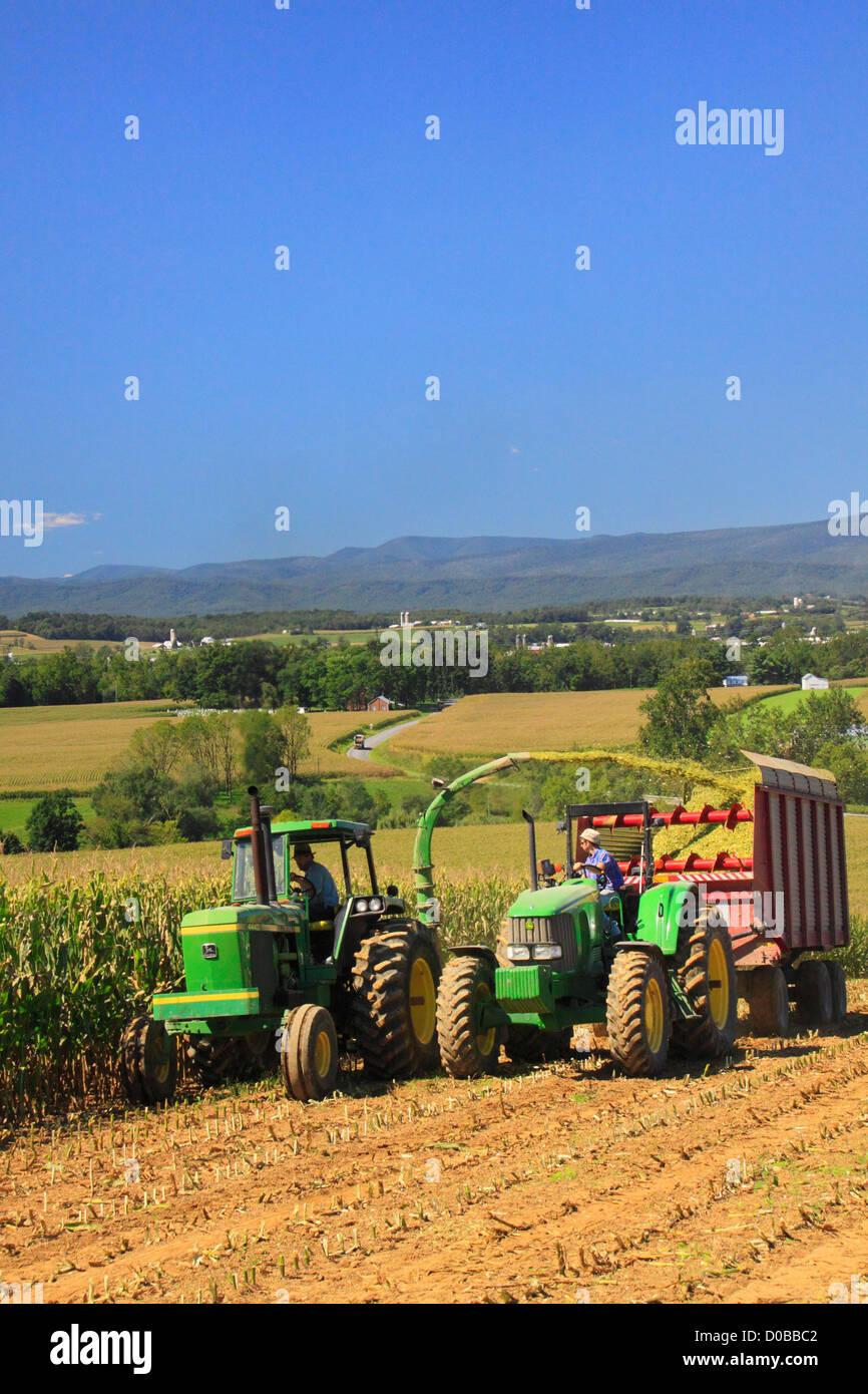 Cutting Corn, Dayton, Shenandoah Valley of Virginia, USA Stock Photo ...