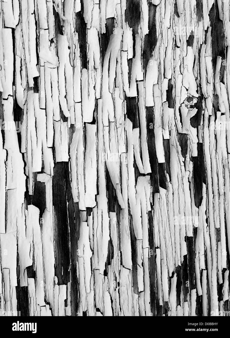 White paint detail hi-res stock photography and images - Alamy