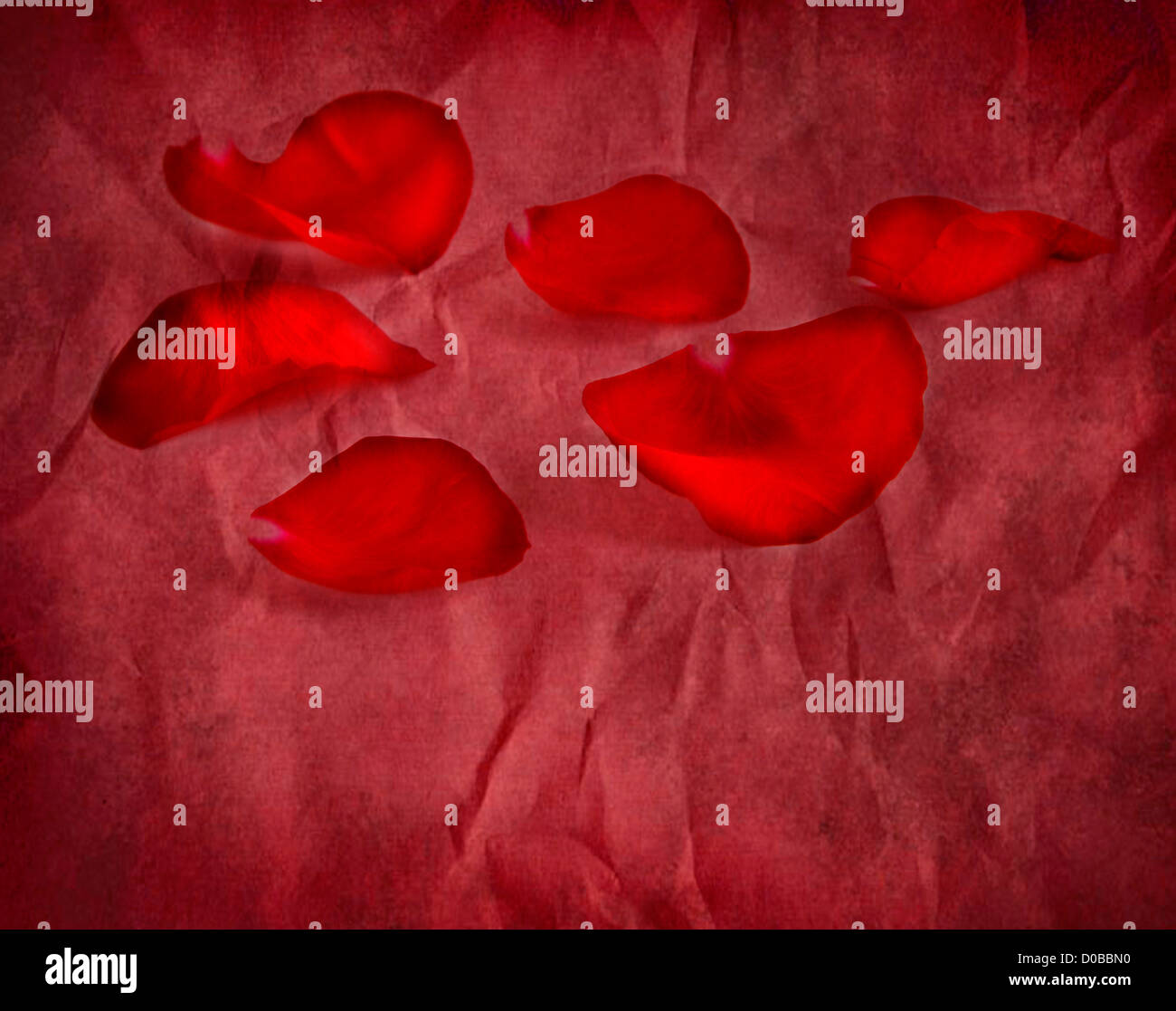 Several Red Rose petals on red paper background Stock Photo - Alamy