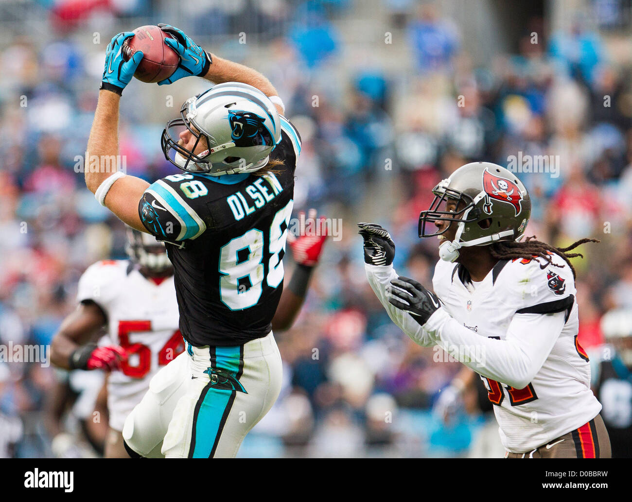 Nov. 18, 2012 - Charlotte, North Carolina, U.S. - Panthers TE GREG ...