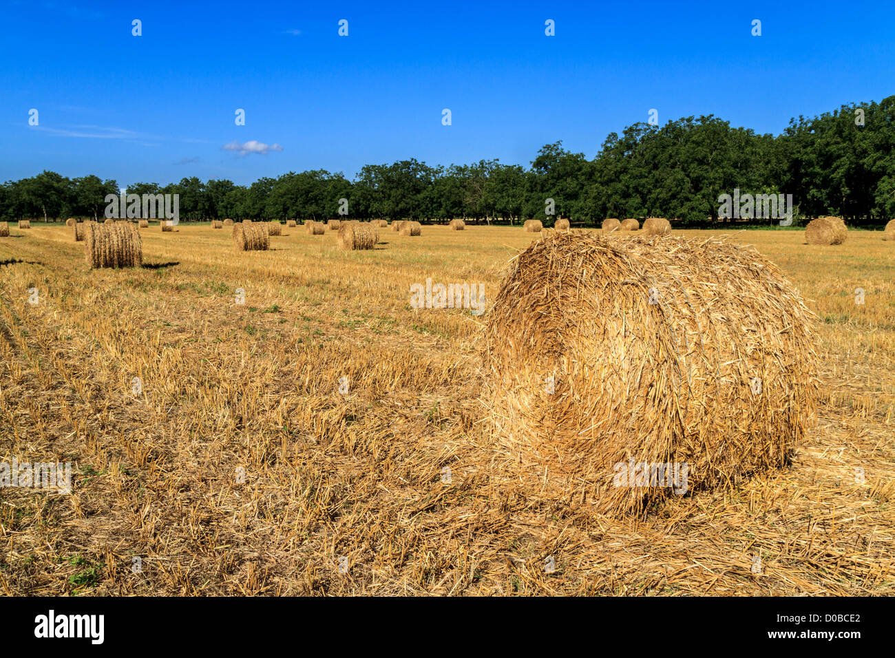 Straw bales sky hi-res stock photography and images - Alamy