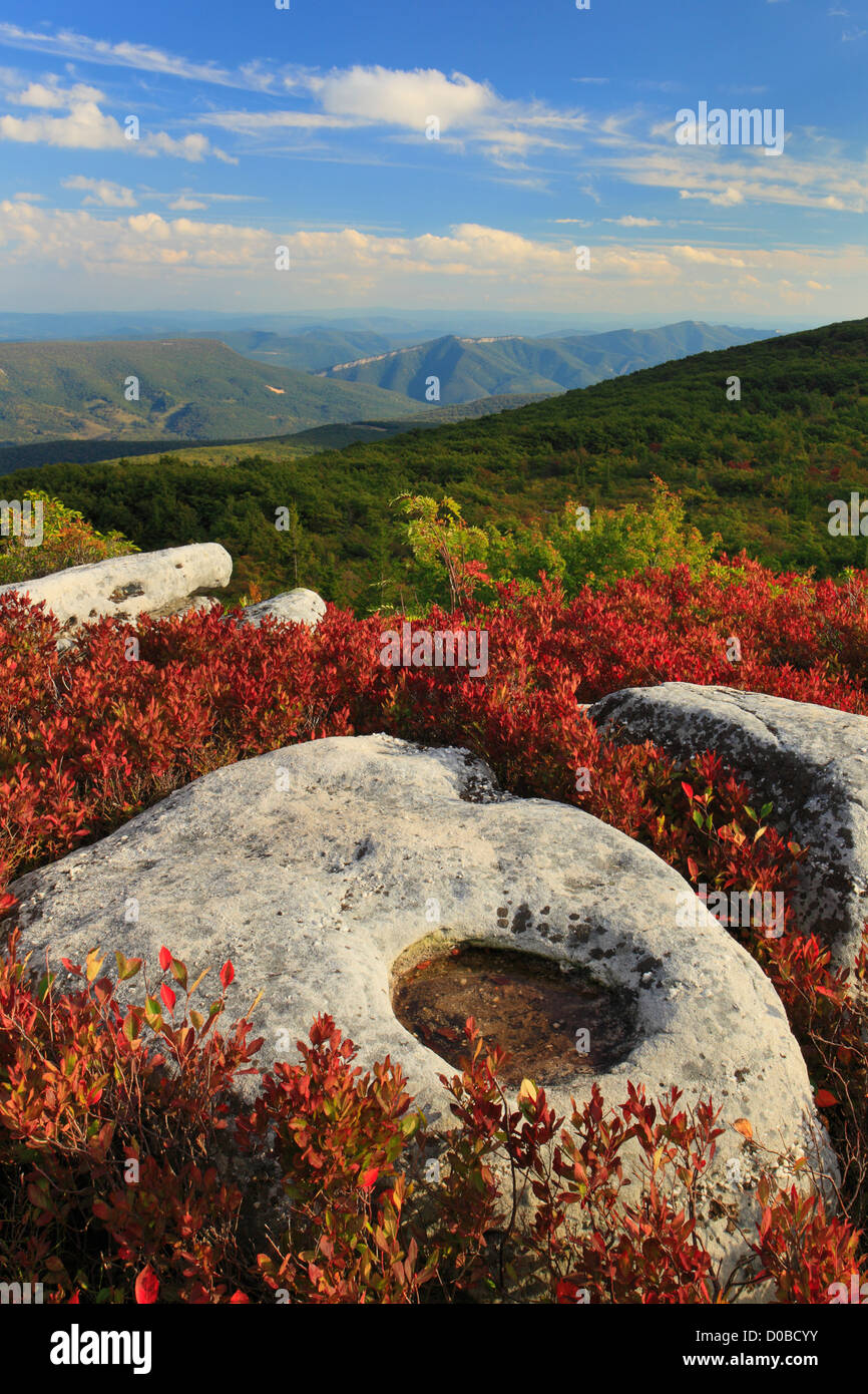 Bear Rocks Preserve, Dolly Sods Wilderness, Hopeville, West Virginia ...