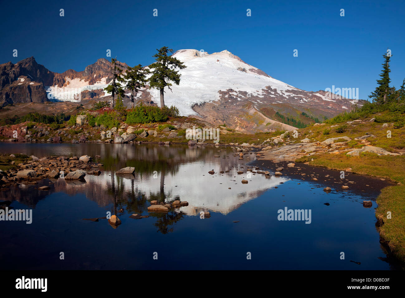 WA07828-00...WASHINGTON - Mount Baker reflecting in a small tarn on ...