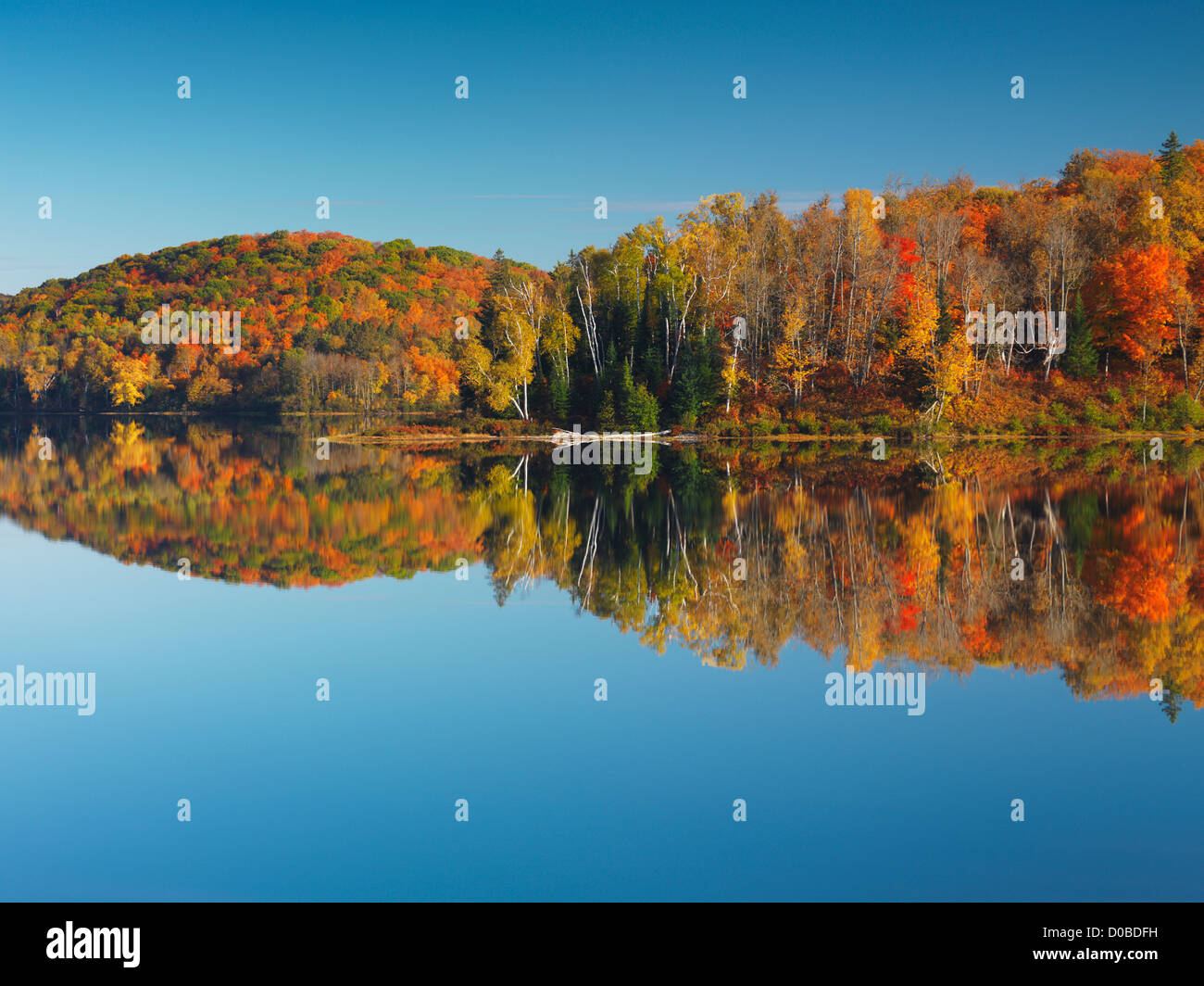Peaceful lake reflecting autumn hi-res stock photography and images - Alamy