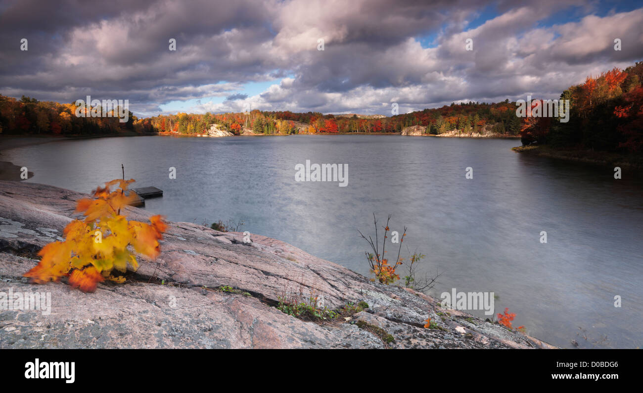 Beautiful atmospheric fall landscape panoramic nature scenery with gray ...