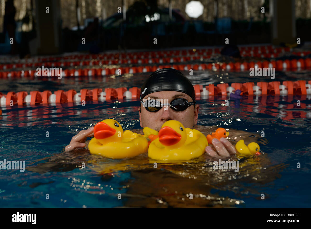 rubber yellow duck swimming pool swimmer young man male Stock Photo - Alamy