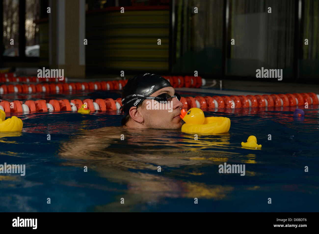 rubber yellow duck swimming pool swimmer young man male Stock Photo - Alamy