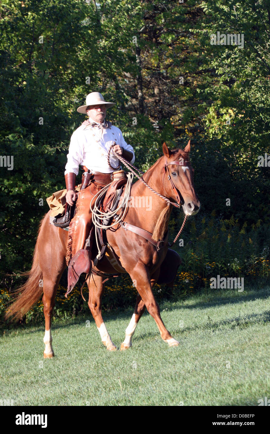 Cowboy horse hi-res stock photography and images - Alamy
