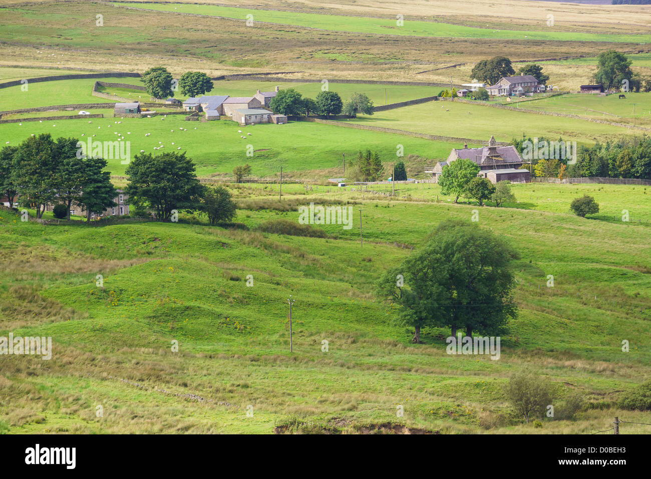 A farm and homes in a rural setting in Northumberland Stock Photo - Alamy