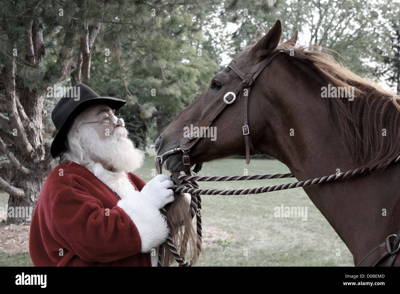 Western Santa Claus and his Quarter horse Stock Photo - Alamy