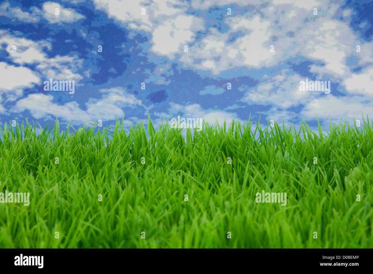 green grass and blue sky Stock Photo - Alamy
