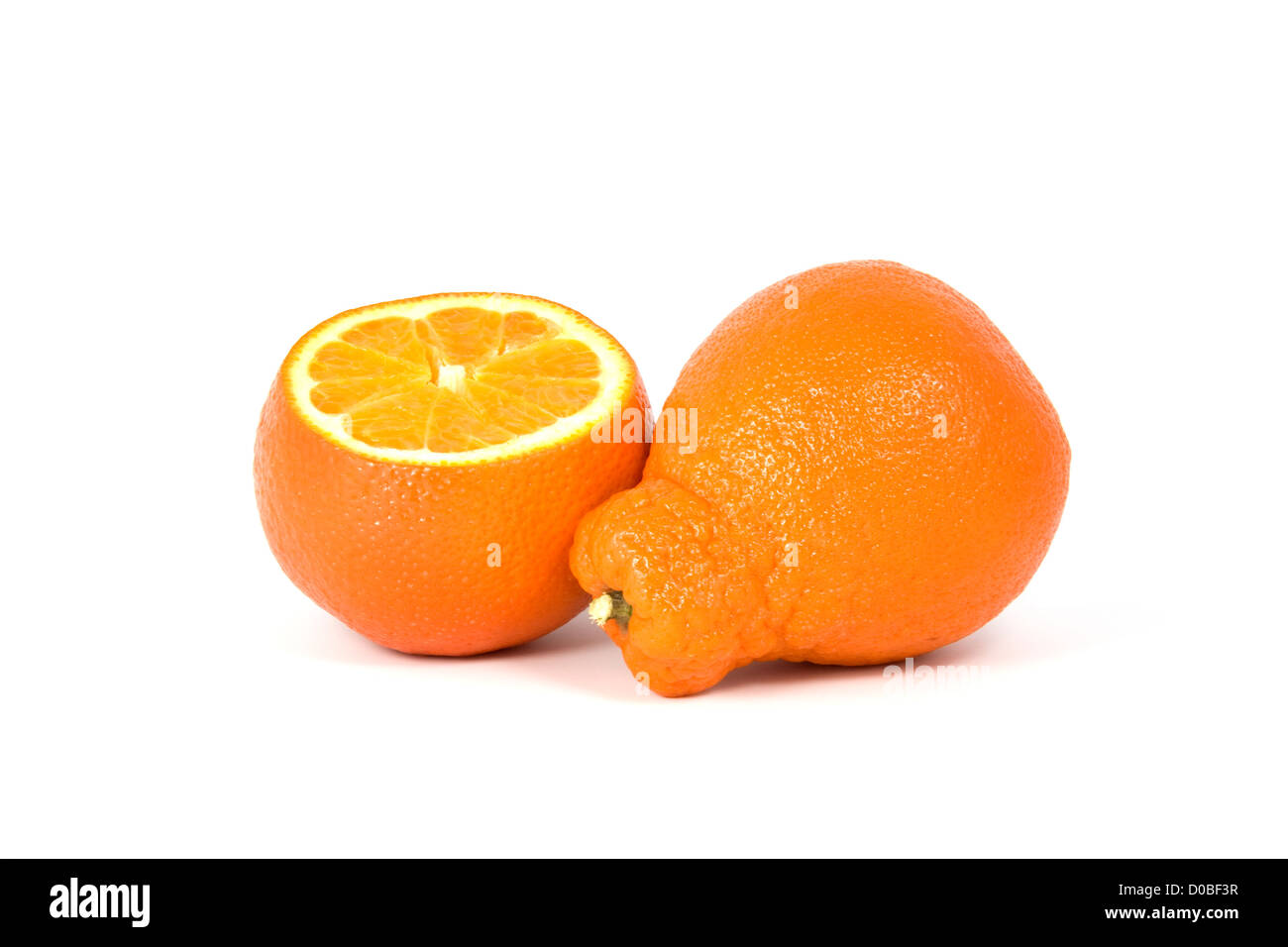 minneolas isolated on white background Stock Photo - Alamy