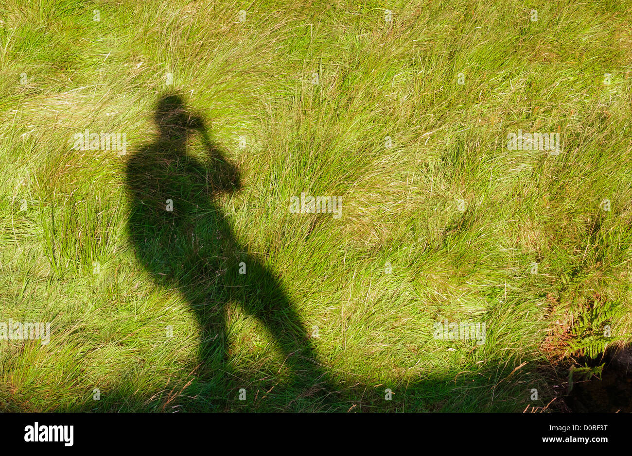 Shadow self portrait in landscape hi-res stock photography and images ...