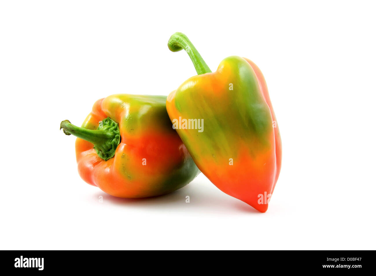 Paprika isolated on white background Stock Photo - Alamy