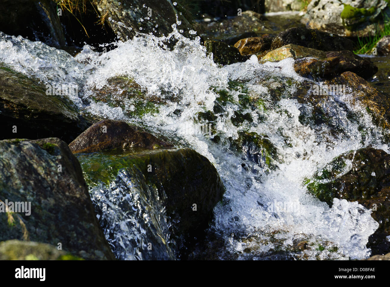 Rushing stream down Small Water Beck in the Lake District Stock Photo ...