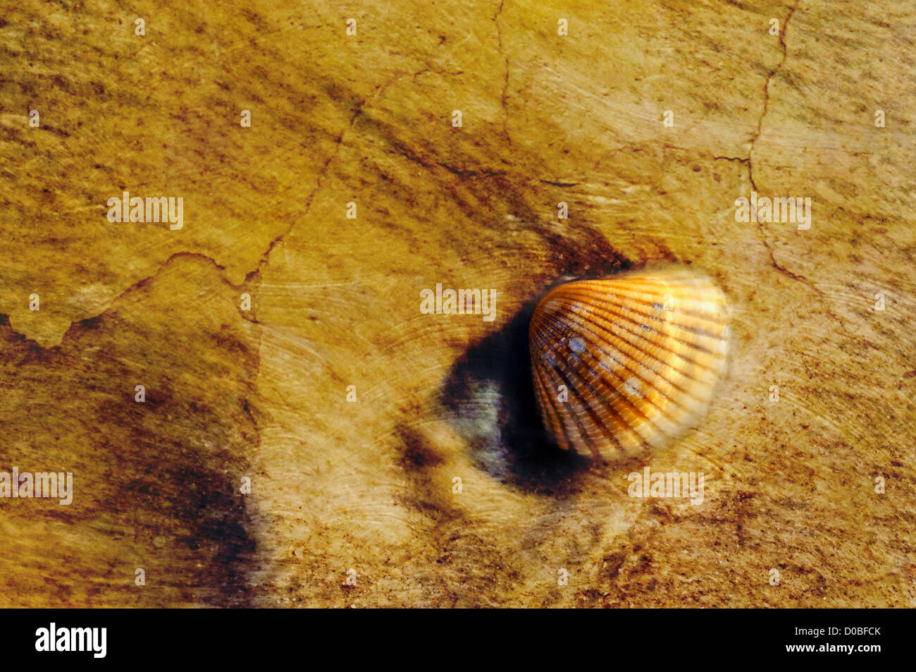 Movement texture hi-res stock photography and images - Alamy