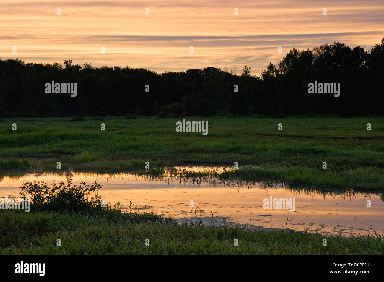 Marsh at Sunset at Muscatatuck National Wildlife Refuge near Seymore ...