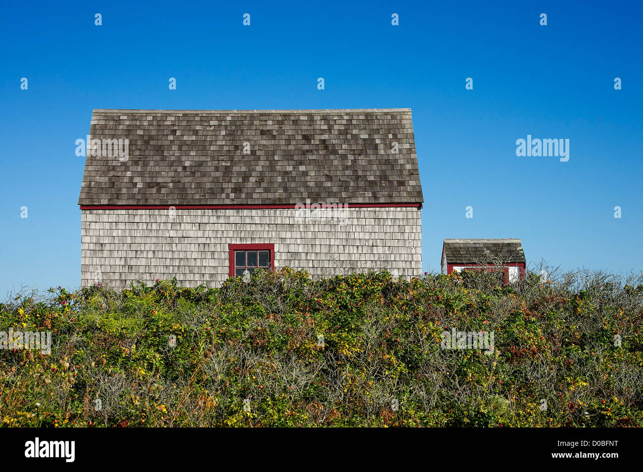 Coastal cottage, Cape Cod, USA Stock Photo - Alamy