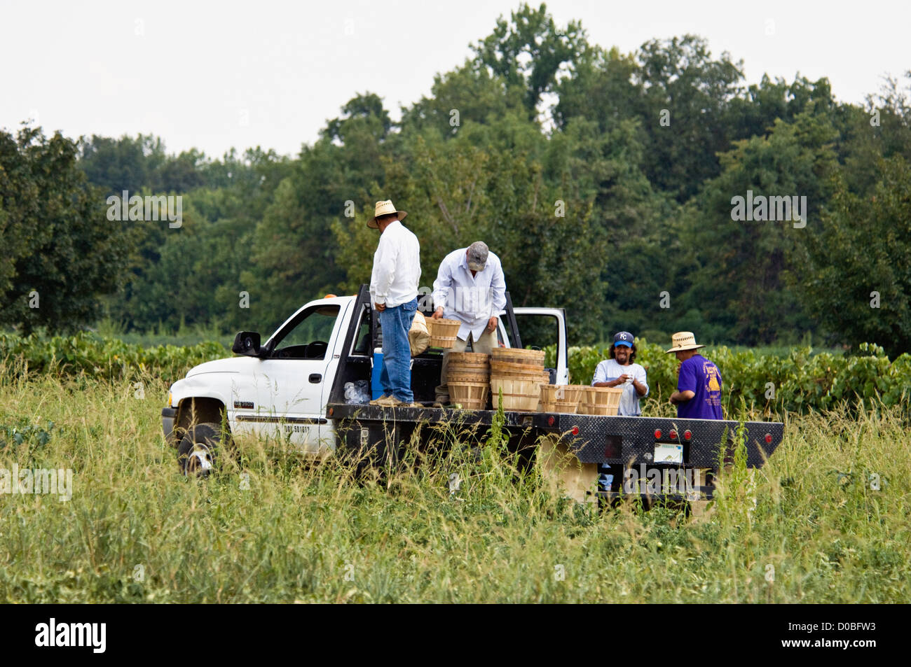 Immigrant Farm Workers High Resolution Stock Photography and Images - Alamy