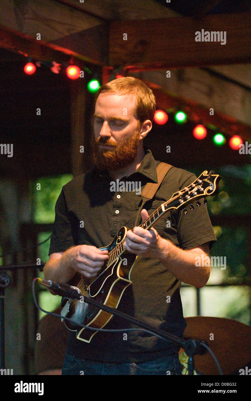 Mandolin Player from the Band Relic Performing at Bluegrass Festival at ...