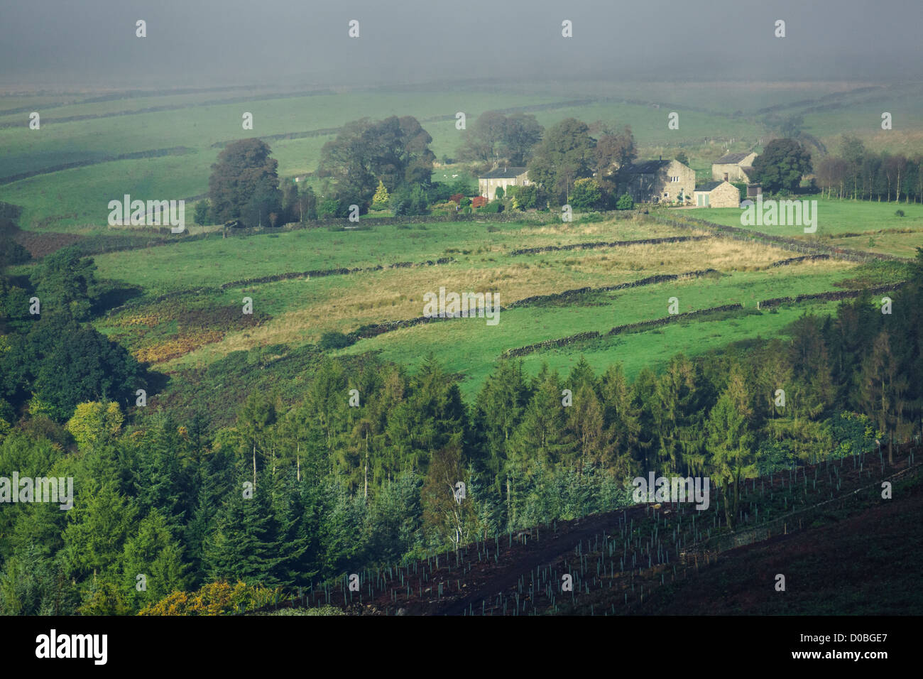 Farm buildings in the Yorkshire Dales on a misty day Stock Photo - Alamy