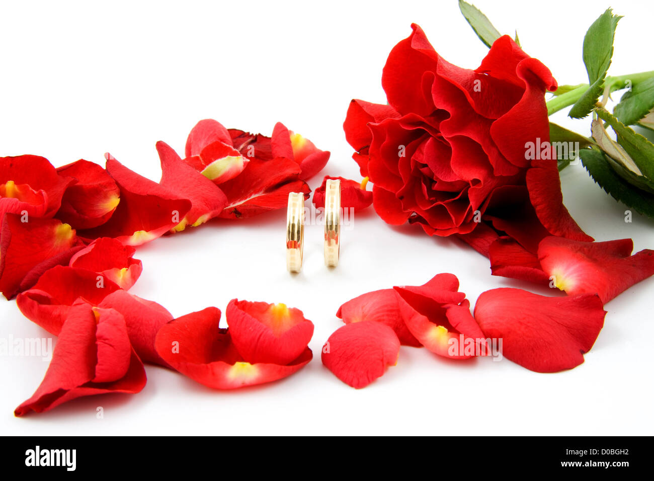 Red roses and wedding ring isolated on white background Stock Photo - Alamy
