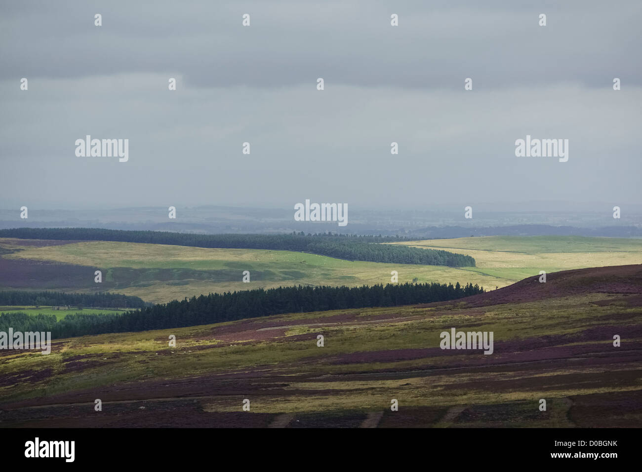 Atmospheric moors hi-res stock photography and images - Alamy