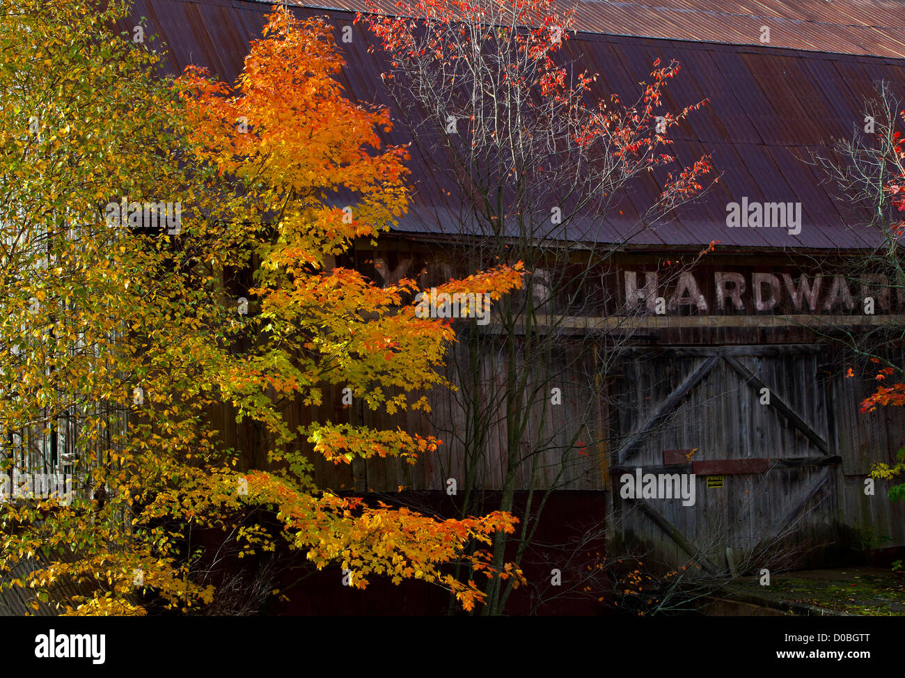 Fall times hi-res stock photography and images - Alamy